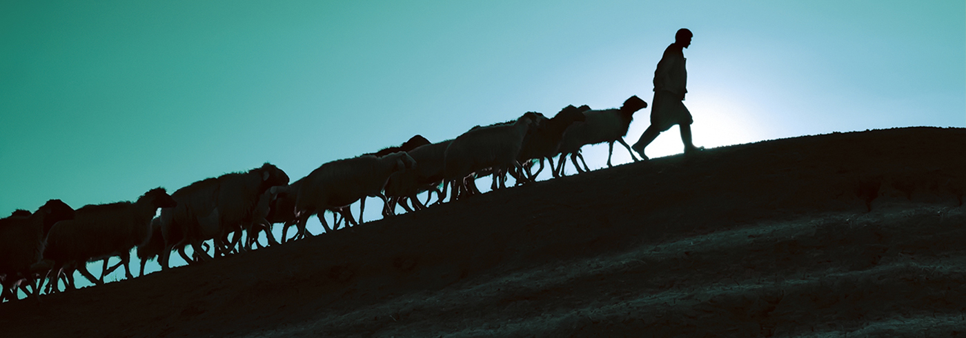 Influence Magazine | The Shepherding Role of a Leader