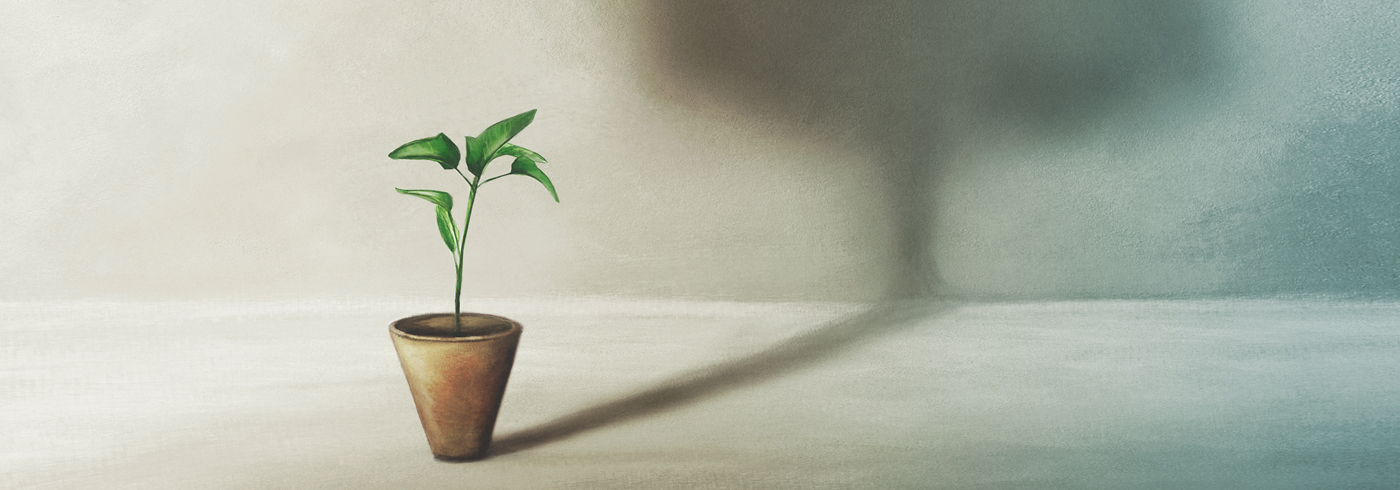 Influence Magazine | What Growth Is and How It Happens